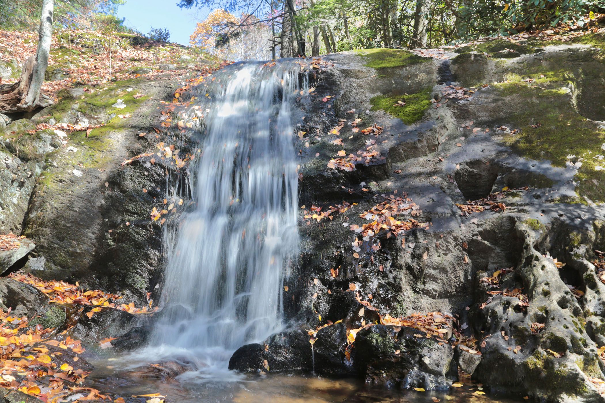 Waterfall Park/Bobby McLean Memorial Park – Southeast Waterfall ...