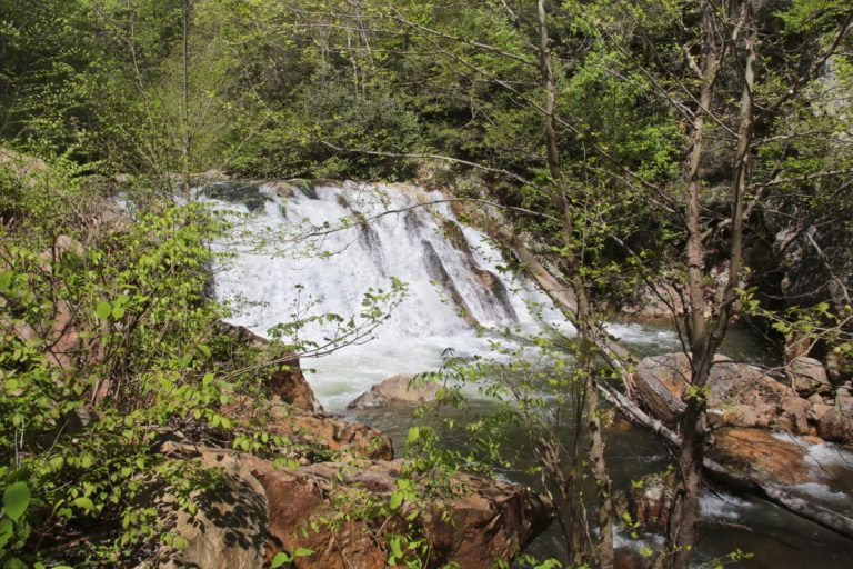 Kelly Falls – Southeast Waterfall & Hiking Guide