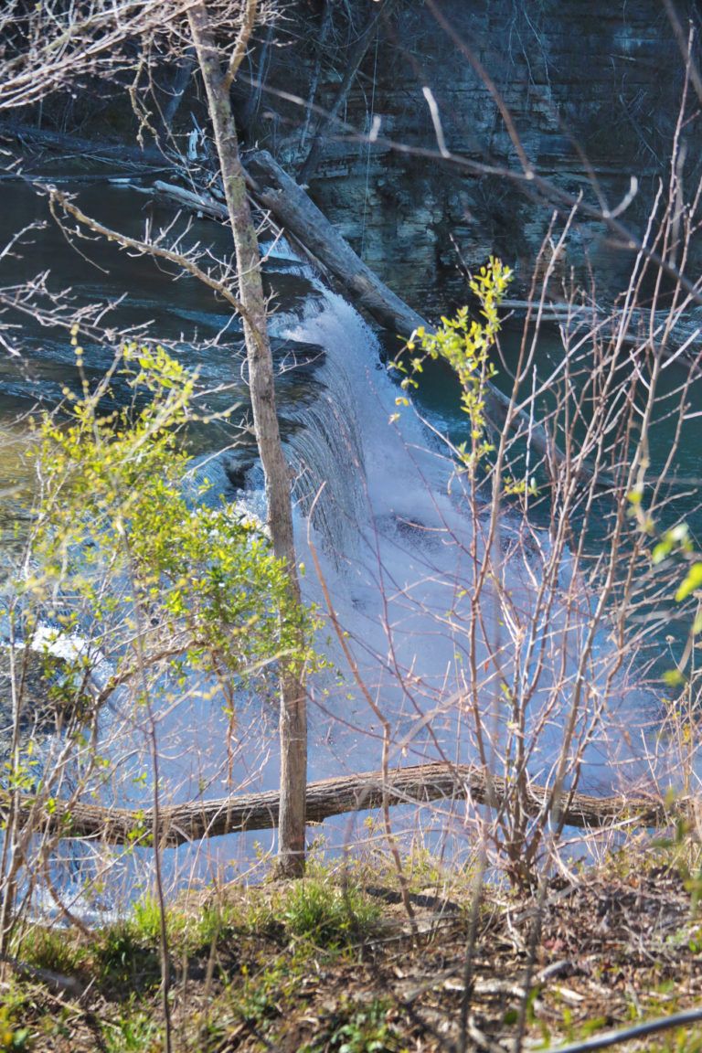 Waterloo Falls – Southeast Waterfall & Hiking Guide