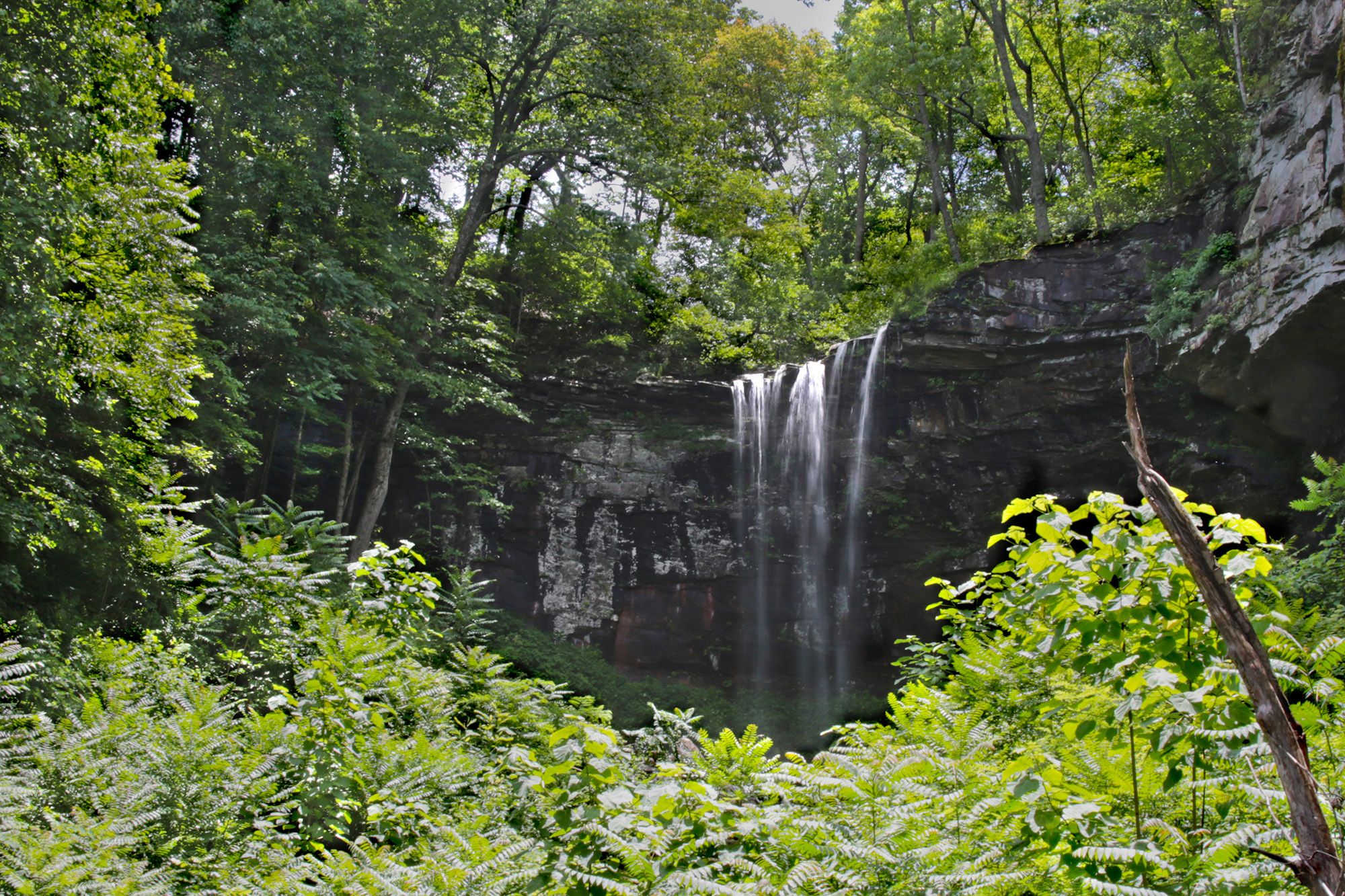 Wildcat Falls (TN) – Southeast Waterfall & Hiking Guide