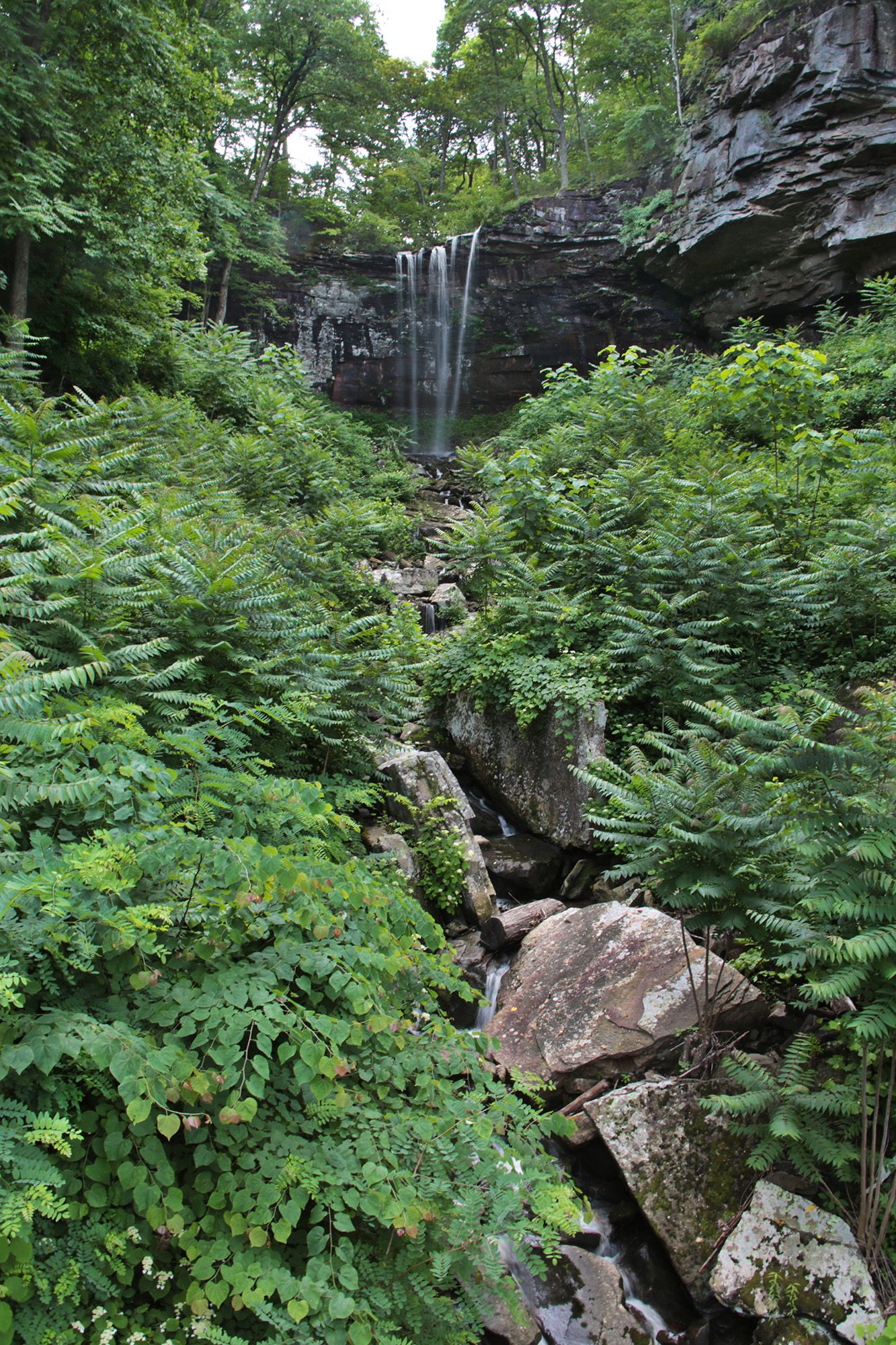 Wildcat Falls (TN) – Southeast Waterfall & Hiking Guide