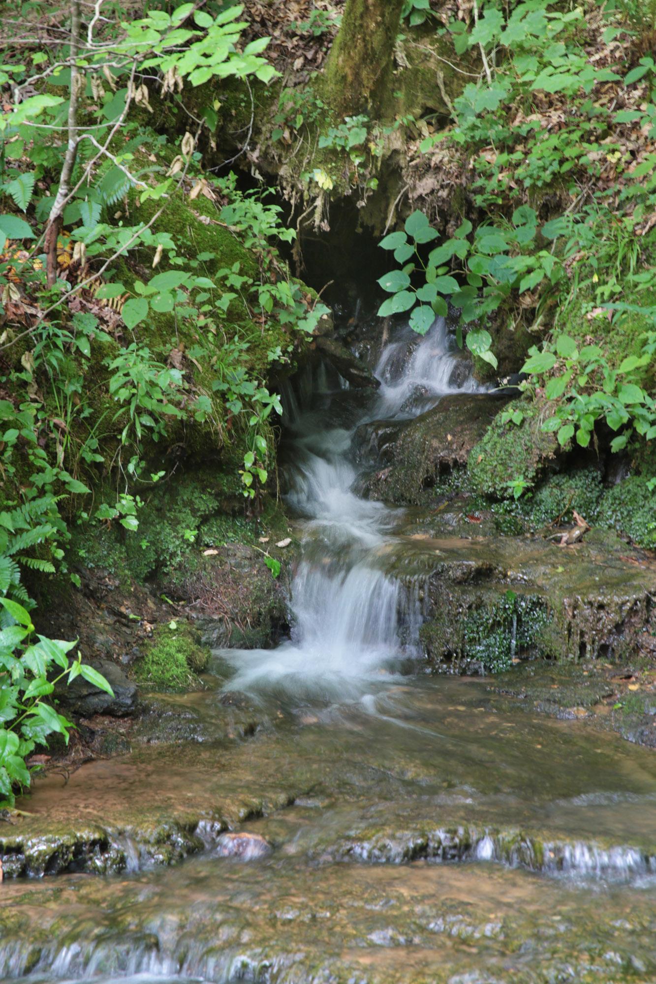 Badger Flat Falls – Southeast Waterfall & Hiking Guide
