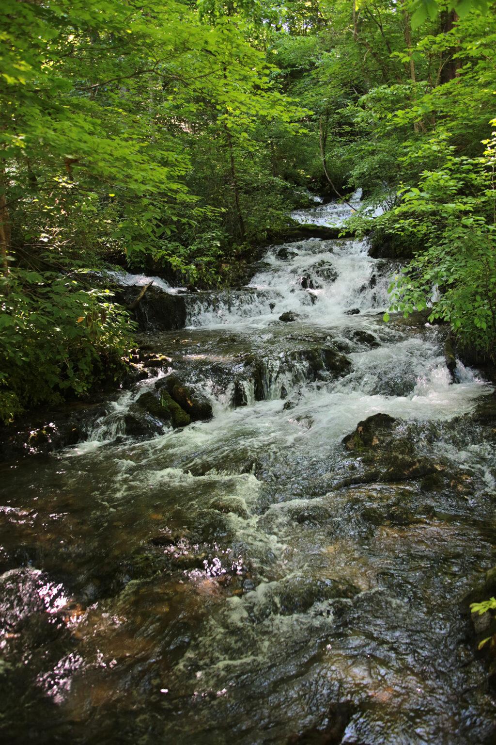 Mill Springs Mill Falls & Cascades – Southeast Waterfall & Hiking Guide
