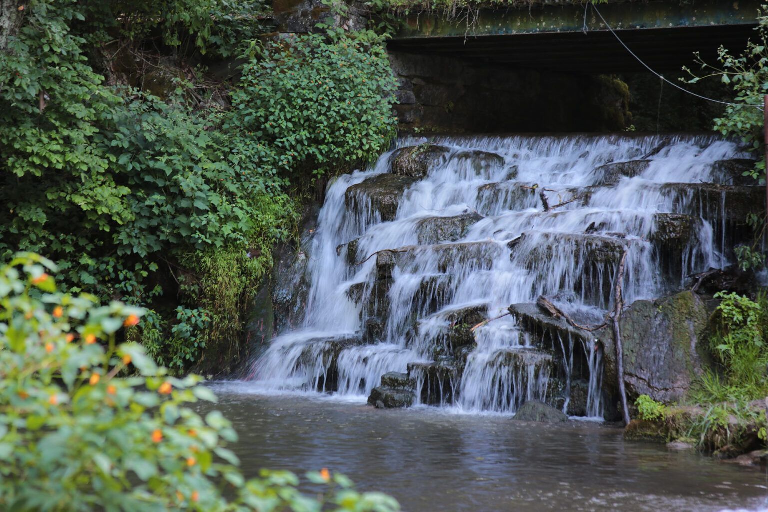 Buffalo Springs Falls – Southeast Waterfall & Hiking Guide